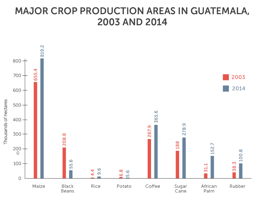Food Insecurity in Guatemala Reaches Crisis Levels | by CSIS | Center ...