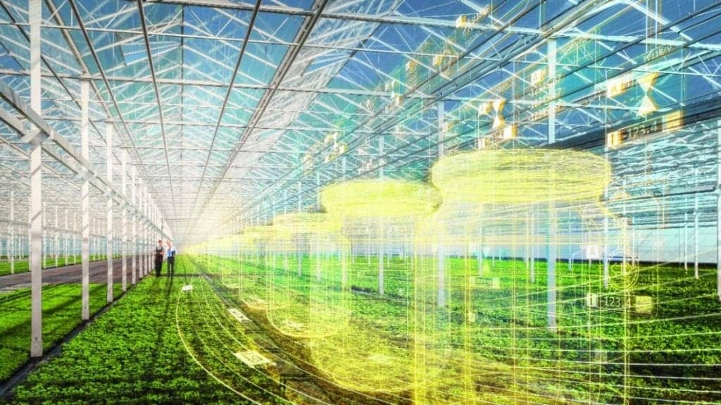 Future Agriculture: Artificial Intelligence and Farming | by Oretes ...