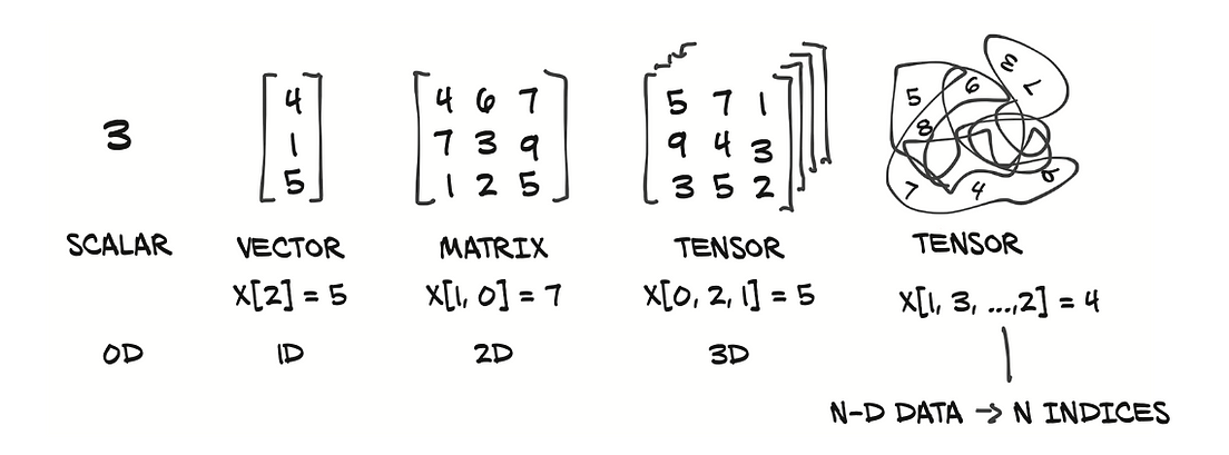 Tensor Basics In Pytorch Tensors Are The Basic Data Structure Of By Vahid Naghshin Codex
