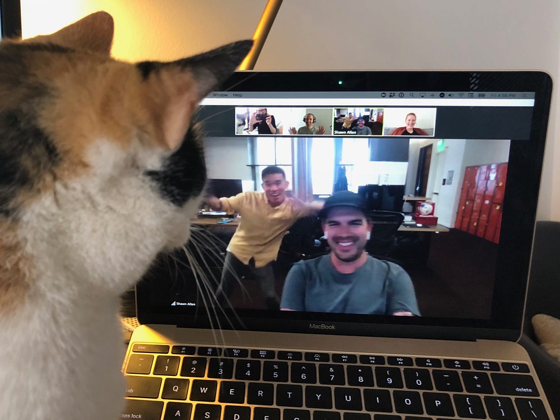 Design Systems at GitHub. A brief history of how design systems… | by ...