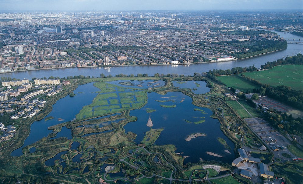 The world’s cities rely on the world’s wetlands. | by WWF | Medium