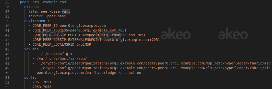 Step by Step Guide to Set up Hyperledger Fabric Network | by Puneet Kumar | Akeo | Medium