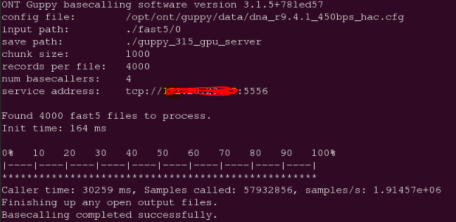 Nanopore GUPPY 3.1.5 basecalling on UBUNTU 18.04 using nvidia docker ...