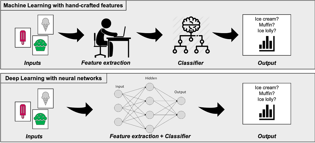 Image Classification Of Bird Species Using Deep Learning With Pytorch Captum And Onnx By Ed 2560