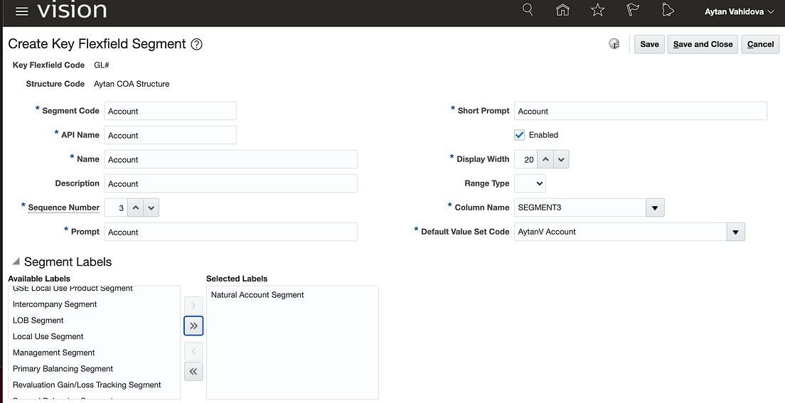 Chart Of Accounts Setup In Oracle Fusion | by Aytan Vahidova | Medium ...