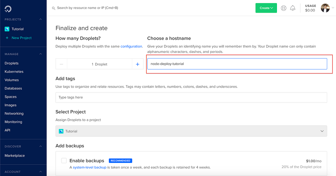 Deploy a NodeJS and ExpressJS App on Digital Ocean with NGINX and Free SSL | by Abdullah Amin ...