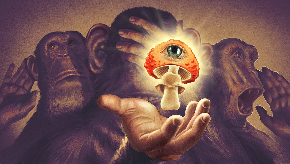3 Fascinating Philosophical Thinkers Who Were Influenced by ...