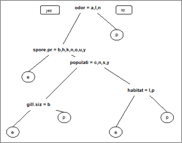 Explore How To Apply Decision Tree Algorithm With A Hands-On in R | by ...