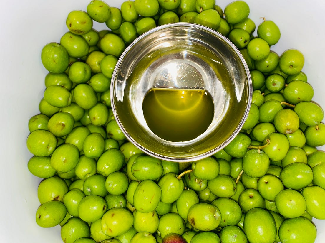An Adventure in Olive Picking and Curing | by Robert McKeon Aloe ...