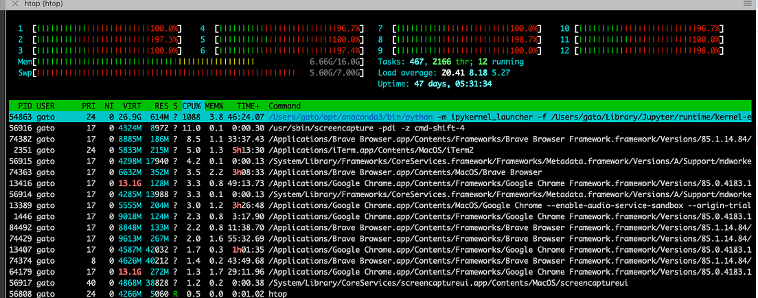 Convolutional Neural Network on Raspberry PI | The Startup