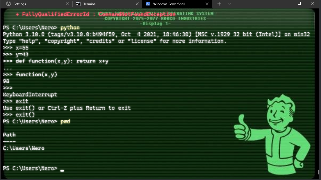How to customize your terminal in Windows 10 | by Pau Blasco Roca | Dev ...