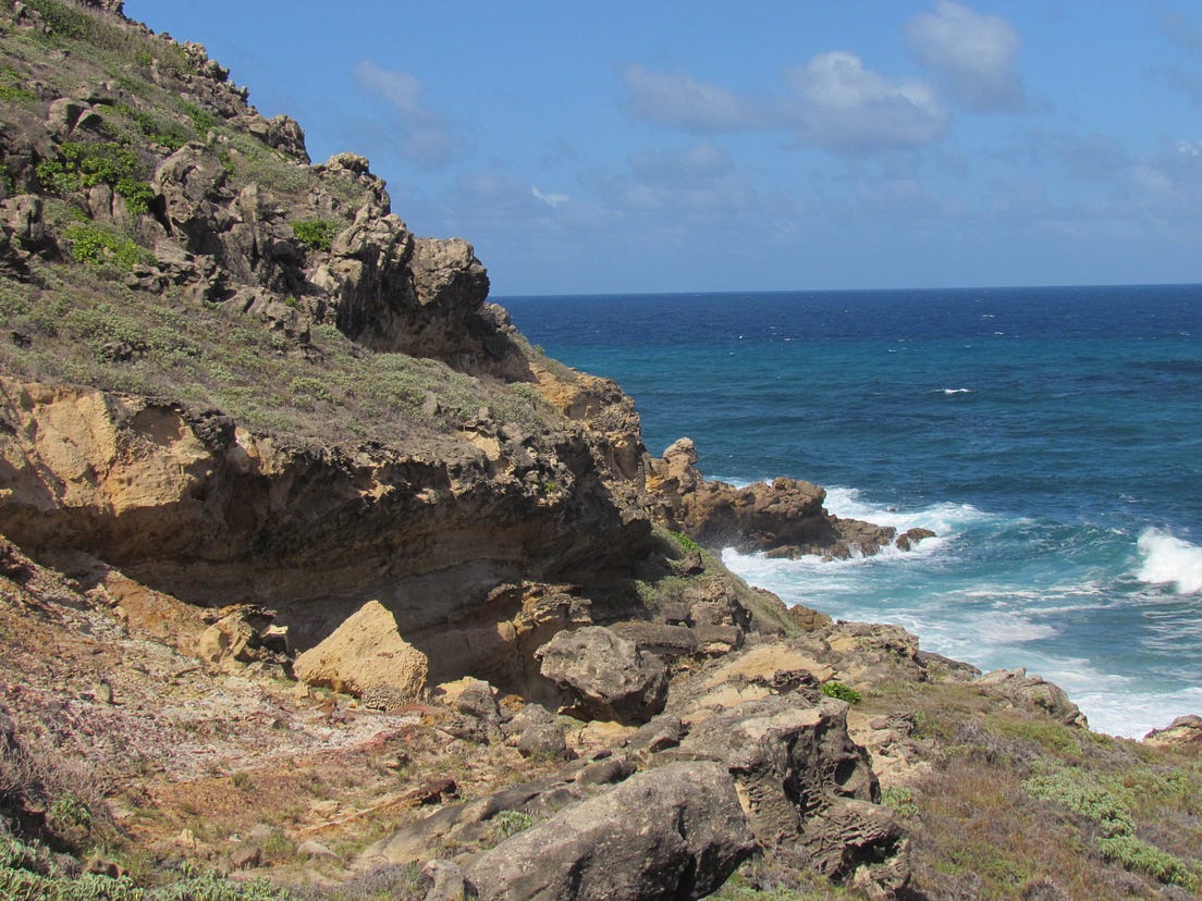 Day 6: An Introduction to Barbados’ Unique Geological History | by ...