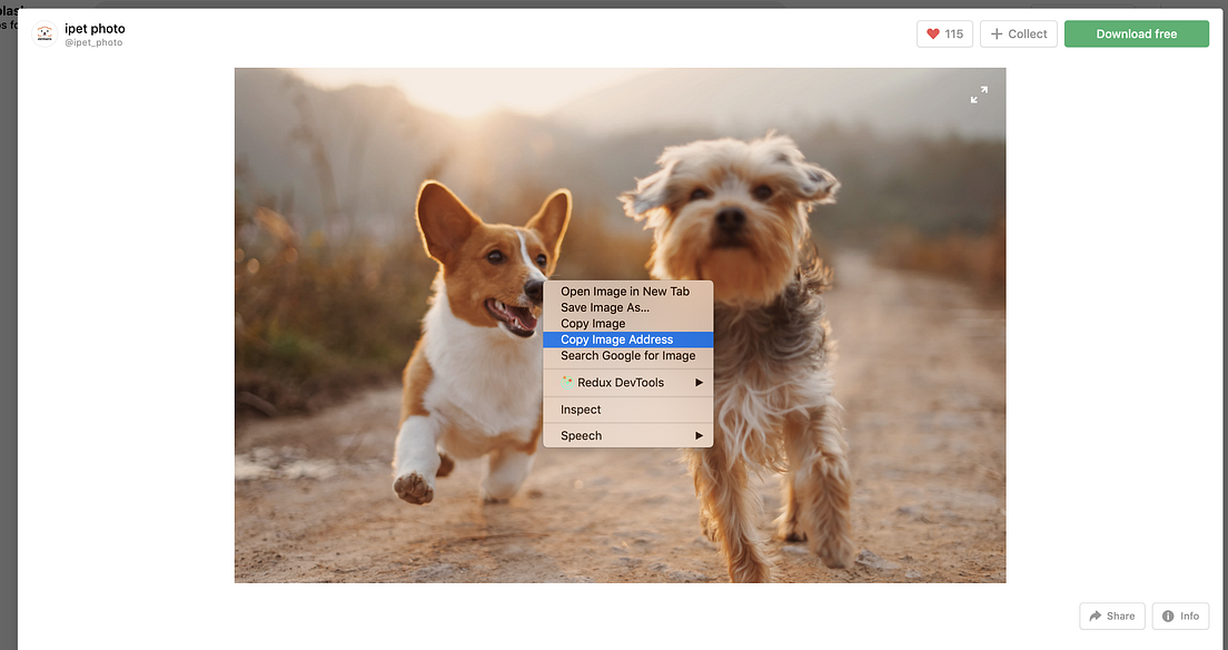 Build A Card That Flips On ‘click With Html Css And Vanilla Javascript Part 1 By Carla