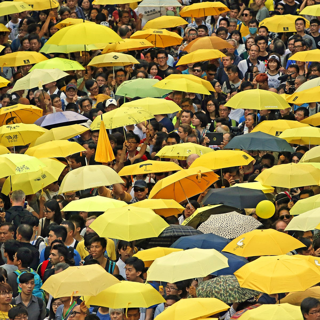 The Colors of Protest. Color is a powerful way to represent… | by ...