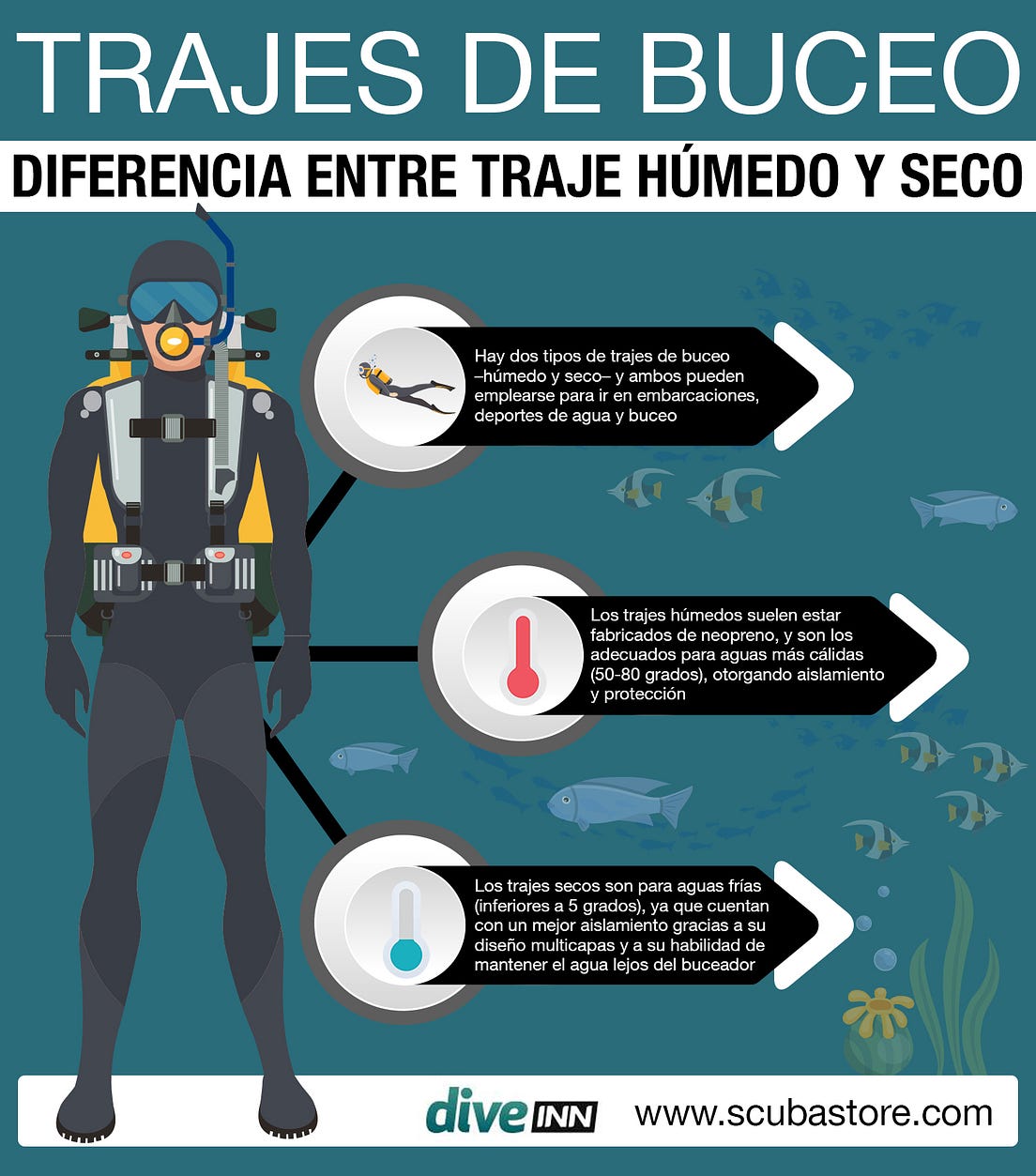 Disciplinas de Inmersión: Una Guía de Submarinismo, Esnórquel, Apnea y ...