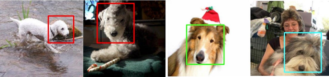 Dog Breed Image Classification. Jui Gupta, Jess Lee, Clay Mason… | by ...