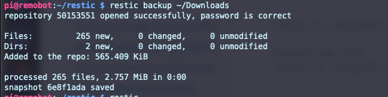 Restic backup command examples tutorial | CodeX