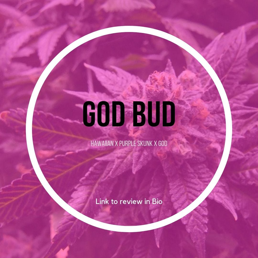 Ontario Cannabis Store Review: God Bud by Redecan - Canadians ...