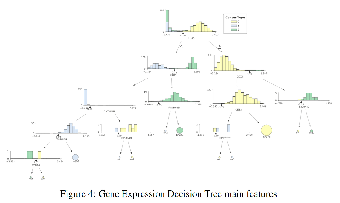 Understanding Cancer using Machine Learning | by Pier Paolo Ippolito ...