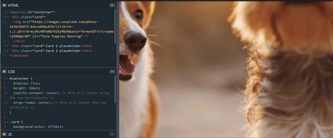 Build A Card That Flips On ‘click With Html Css And Vanilla Javascript Part 1 By Carla