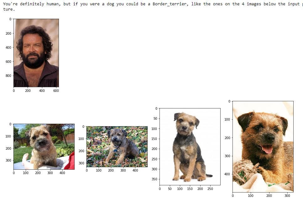 Dog breed classification using Deep Learning concepts | by Torben Flickinger | Towards Data Science