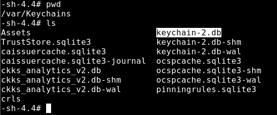 Understanding the iOS File System | by Lucideus | Medium