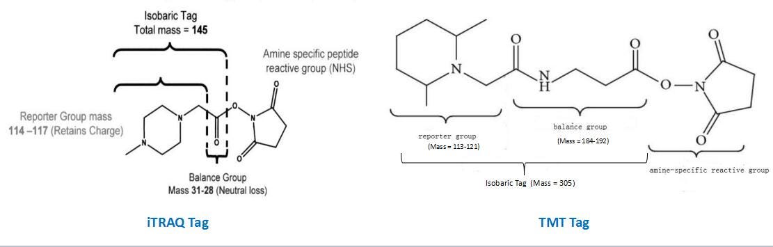 Part I: Detailed Description of iTRAQ/TMT Tag Structure and Relative Quantification Principle ...