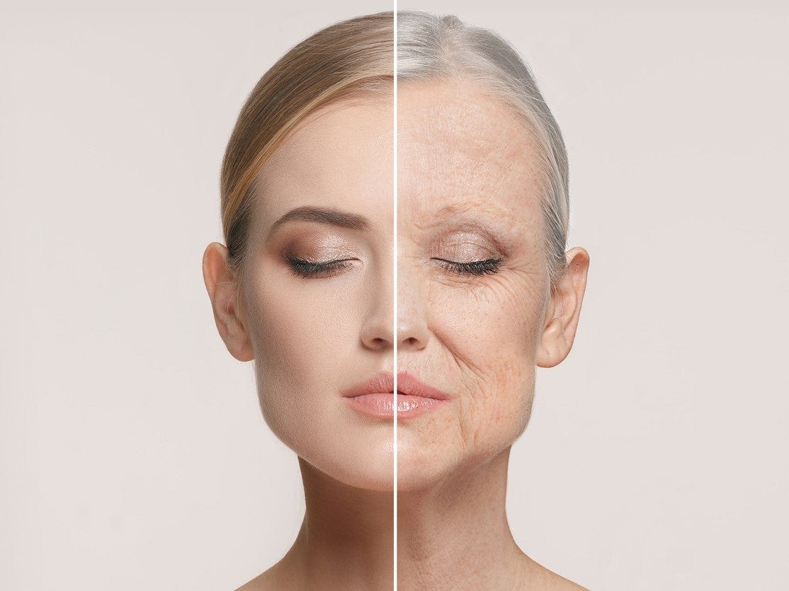 How Scientists Reversed Aging, And What It Means For You | by Om ...