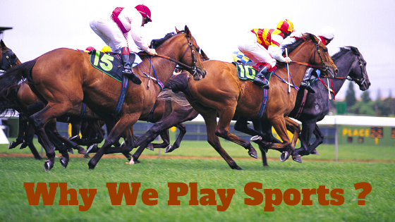 Why do we play sports. Generally, the game is very important… | by Oh ...
