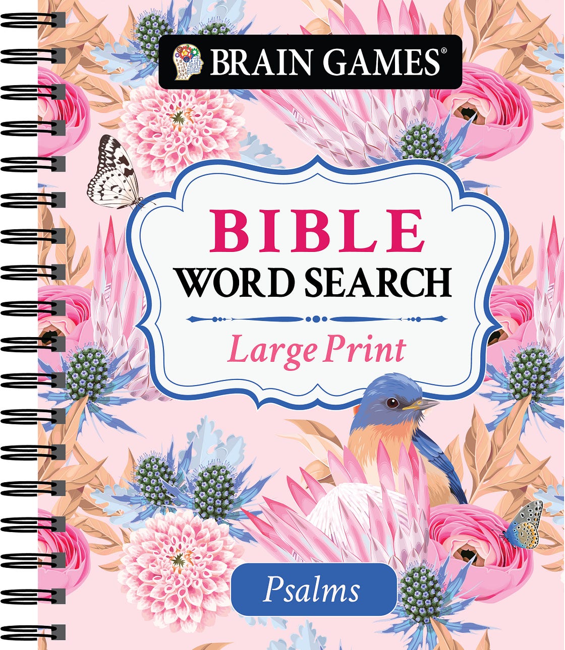 book-pdf-brain-games-large-print-bible-word-search-psalms-by