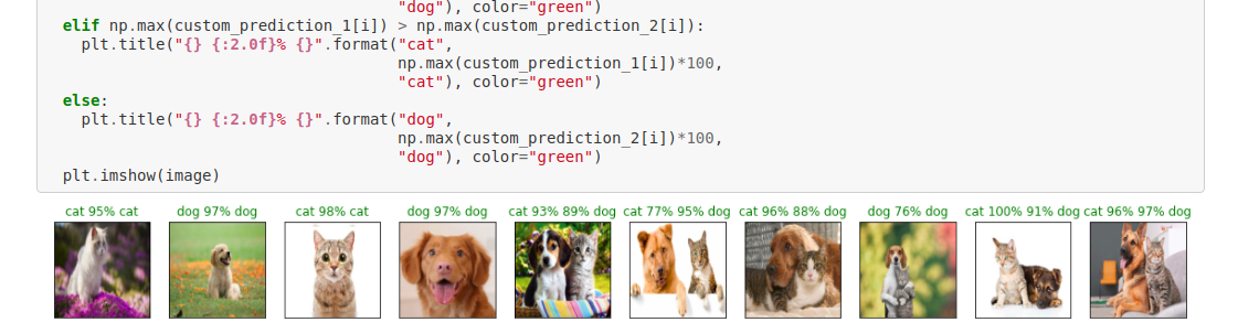 What About a 6-Week Machine Learning Project? Beginners Friendly Cat vs ...