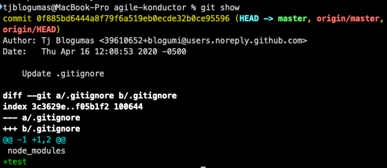 Understanding the Basic Commands of GIT | by Tj Blogumas | DevOps Dudes ...