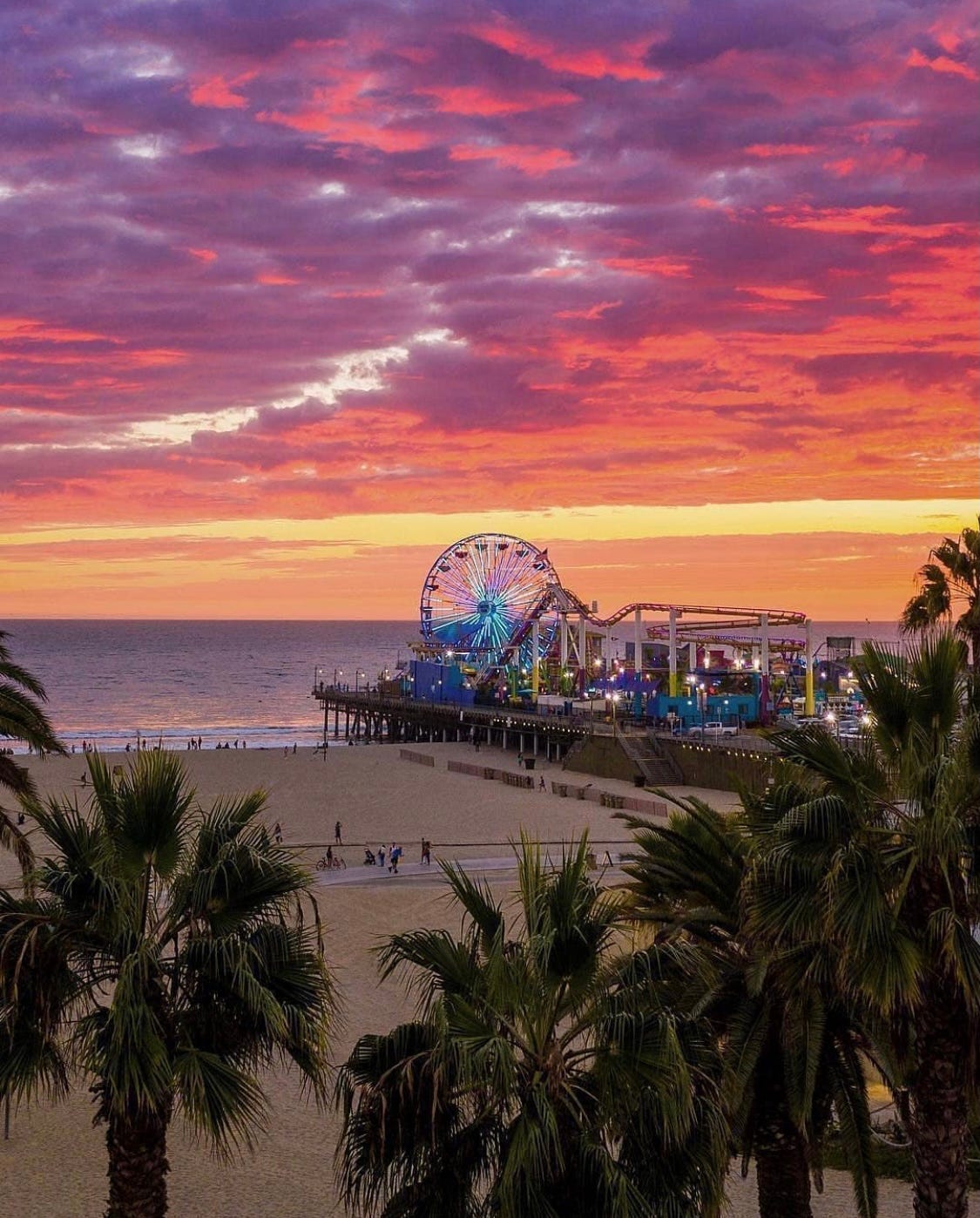 How to Be Bicoastal. When I tell people I’m bicoastal, a few… | by ...