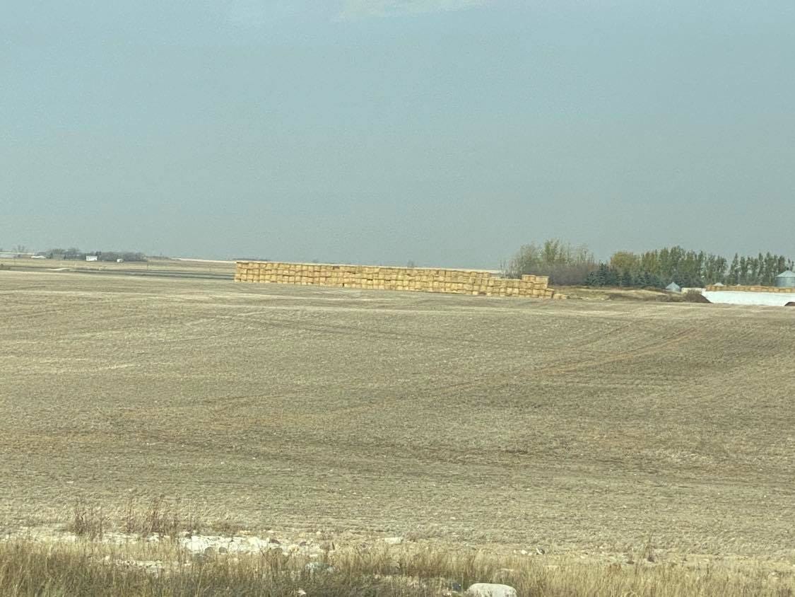This week we drove through Saskatchewan and it is FLAT!!! | by Patti ...