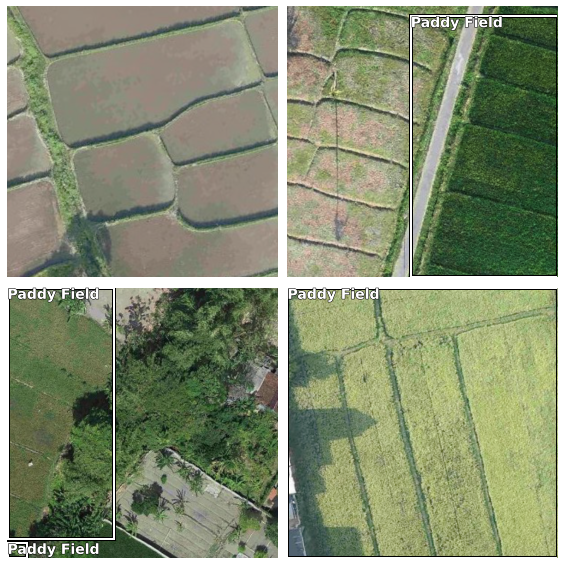 Rice Field Predictor. Using Single Shot MultiBox Detector to… | by Faris Dzikrur Rahman ...