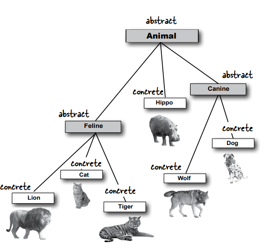 Head First Java by Keith Sierra Chapter 08.Serious Polymorphism | by ...