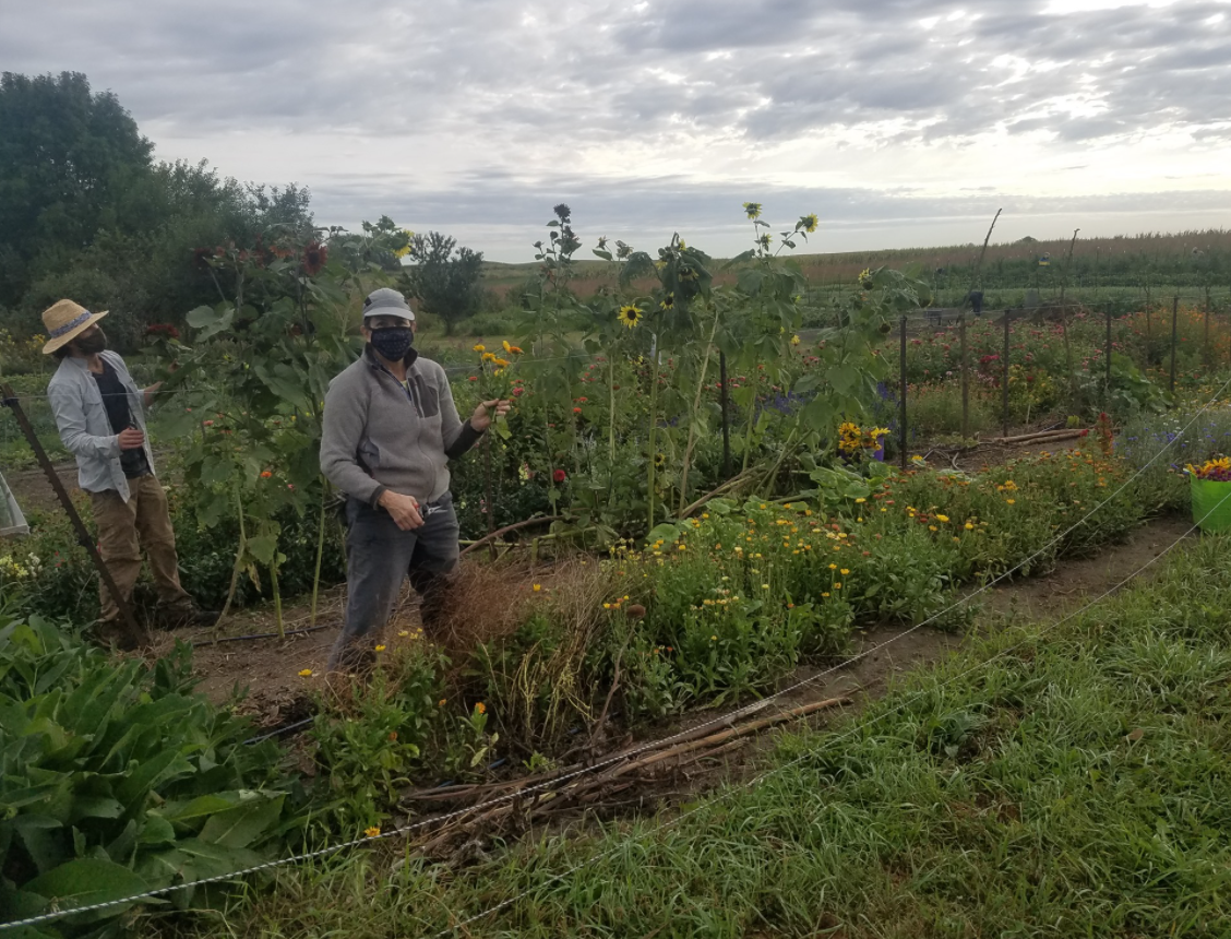 Growing Generously and Feeding My Soul at Mustard Seed Farm | by ...