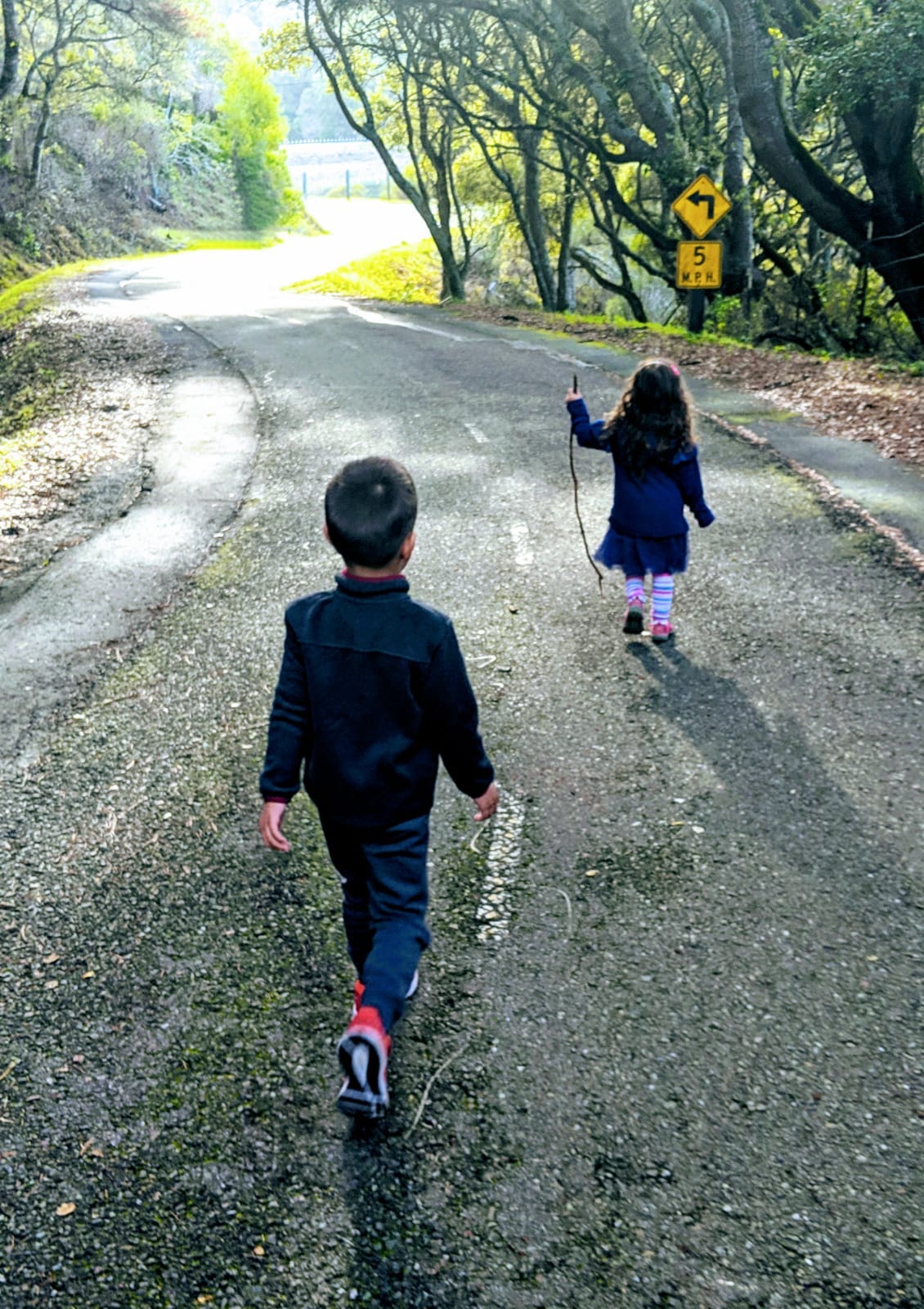 Happy as a 5 year old. A Personal Observation | by Avinoam Zelenko | Medium