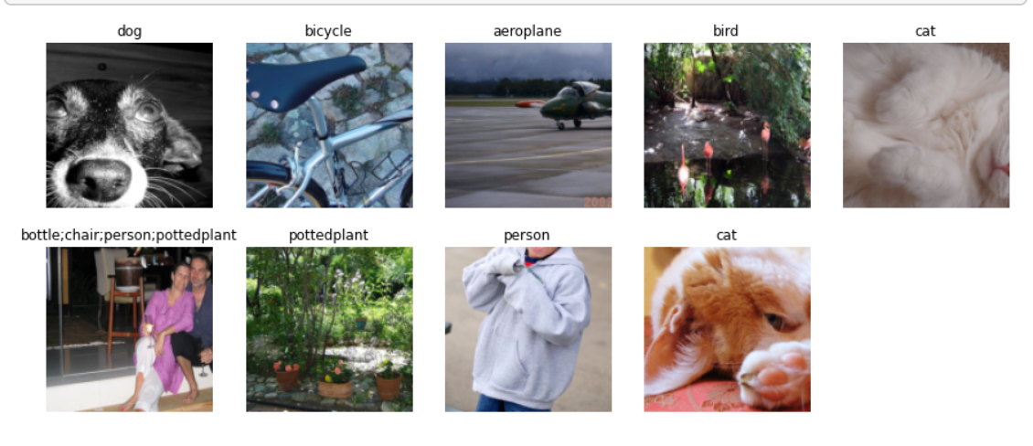 FASTAI: Multi-Label Classification [Chapter-6] | by Anand Prakash ...