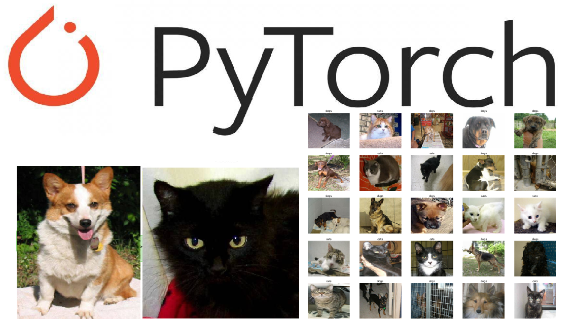 Image Classification with PyTorch | by Nutan | Feb, 2022 | Medium
