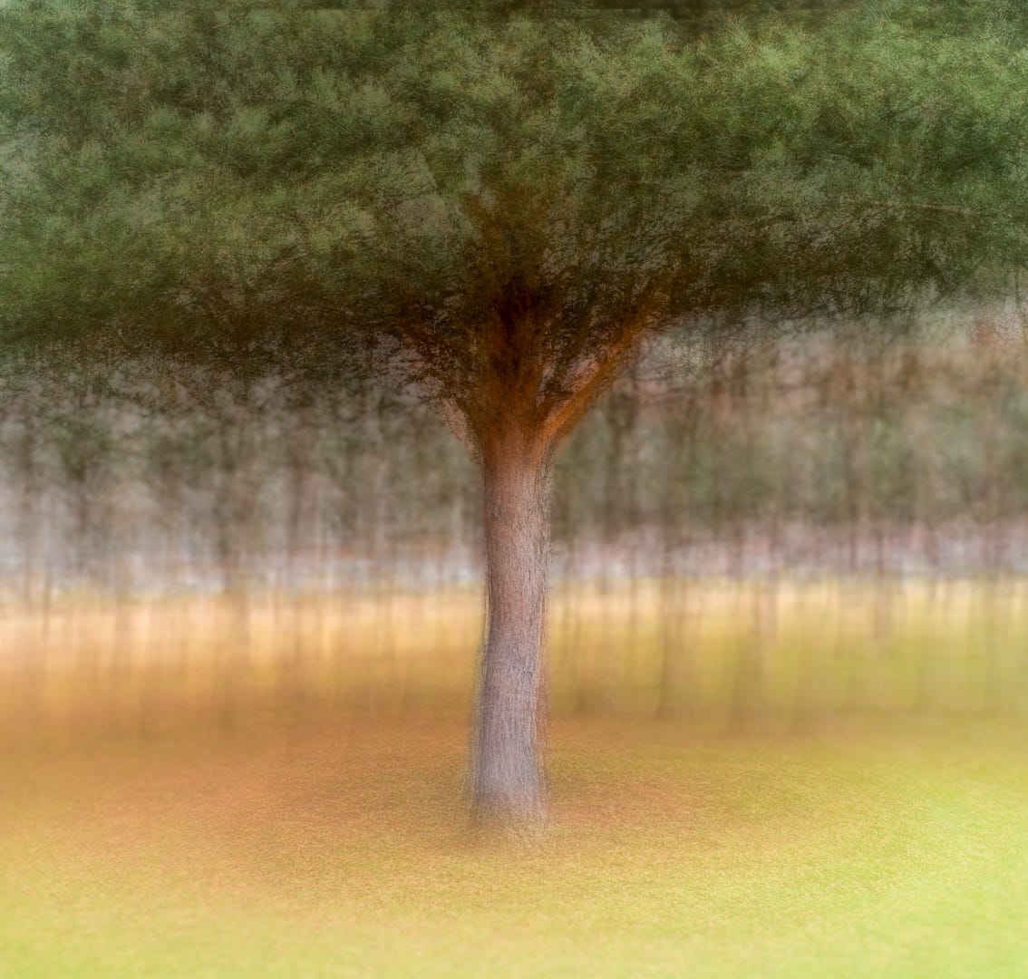 Learn about the Pep Ventosa Photography Technique | by Frithjof ...
