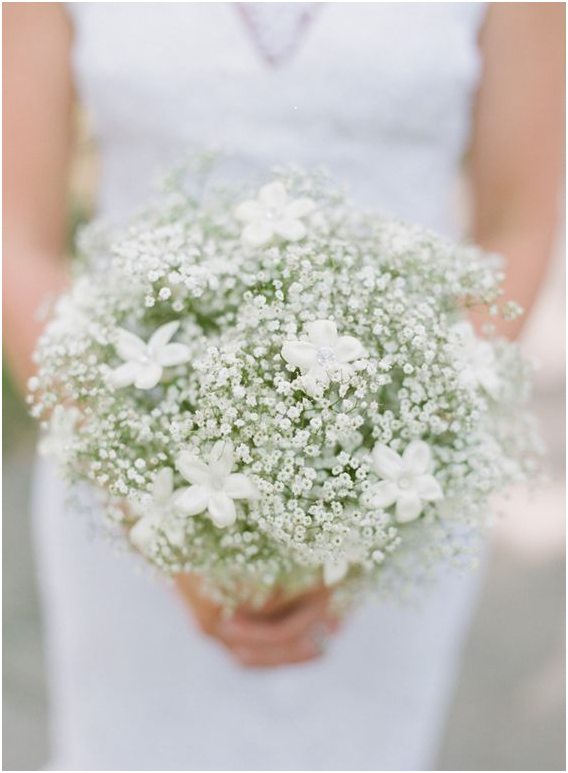 Star Shaped Stephanotis Flowers For Sale For The a Starry Celebration ...