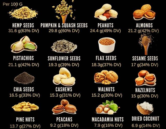 THE 16 PROTEIN SOURCES — NUTS AND SEEDS, VEGAN PROTEIN SOURCES. | by ...