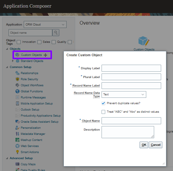 Extending And Configuring Oracle Cloud Applications