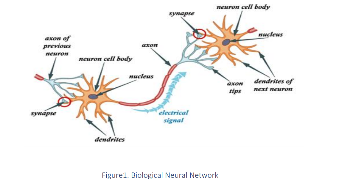 Artificial Neural Network (ANN). Introduction | by Tony Sebastian | Medium