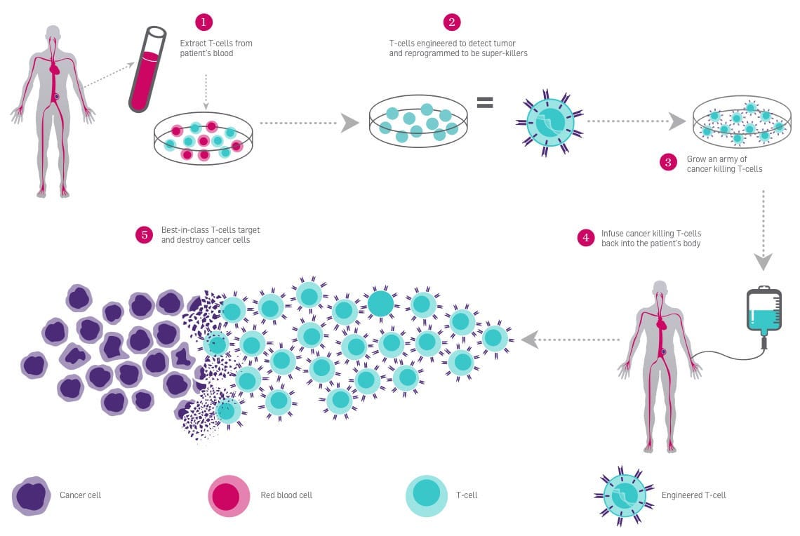 Can Crispr Cure Cancer What Is Crispr And How Does It Work By Angel Medium