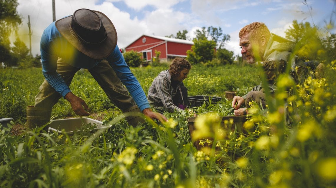 Organic farming in the EU: a portrait | by Agroop — Intelligence of ...