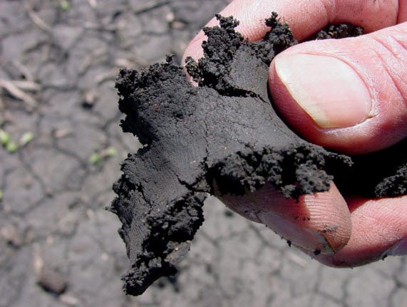 Get to Know your Soil Better: A Simple Soil Experiment to do Home | by ...