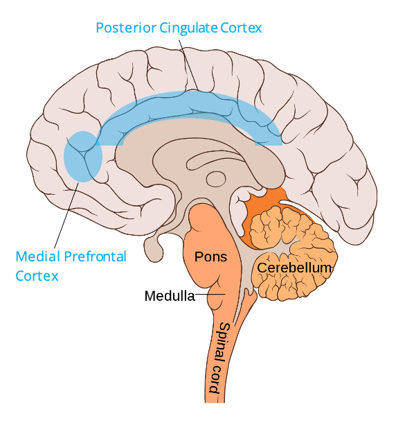 The Different Sides of Self-Reflection | by Andy Hab | leading brains ...