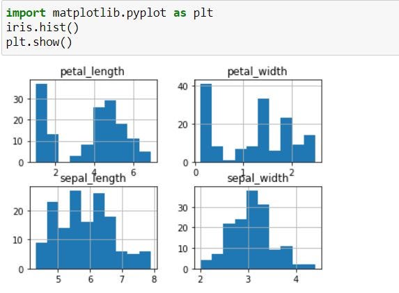 Iris Flower Classification using KNN | by Shubh Mehta | Medium